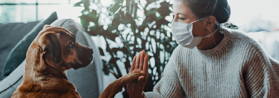 Supporting Veterinary Professionals and Clients During COVID-19 ...