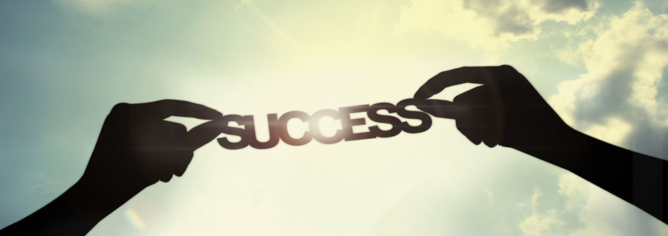 Successful Launch and First Week at VCMS | Veterinary Client Mediation ...