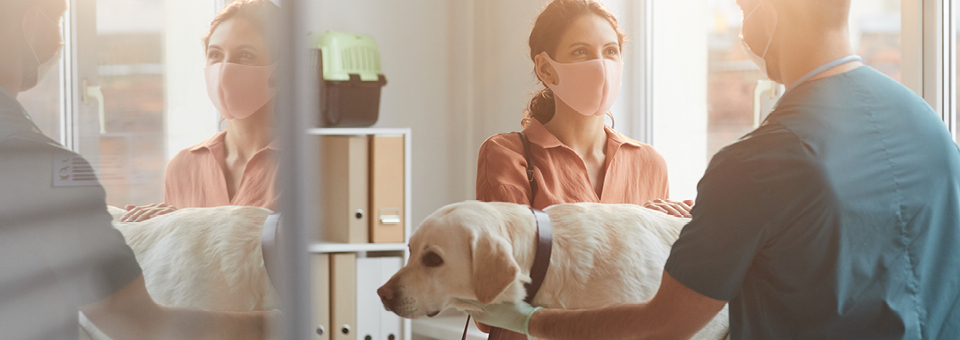 Building the Client Relationship of the Future | Veterinary Client ...