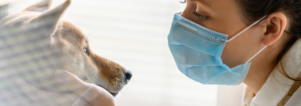 Do I Still Have to Wear a Mask When Visiting My Vet? | Veterinary ...