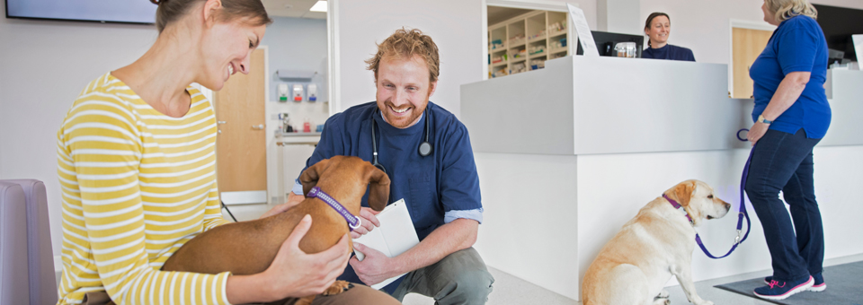 Understanding the New Challenges Faced by Veterinary Practices ...