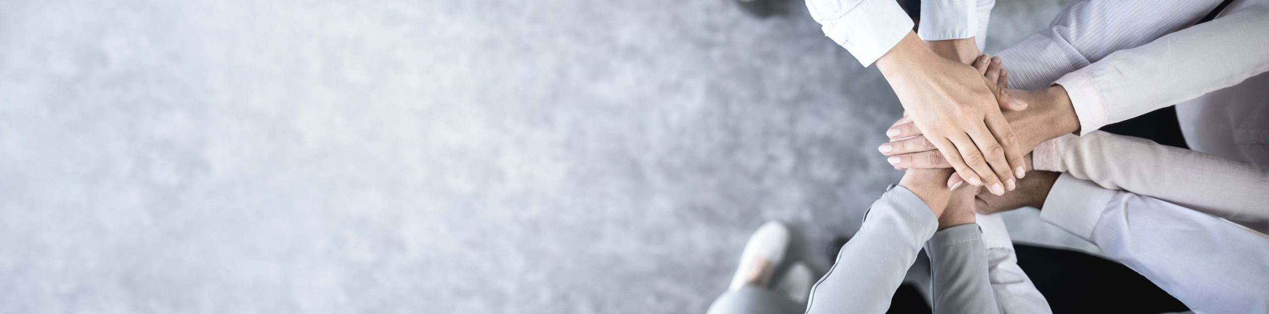 Ambitions Explored - RCVS Workforce Action Plan | Veterinary Client ...