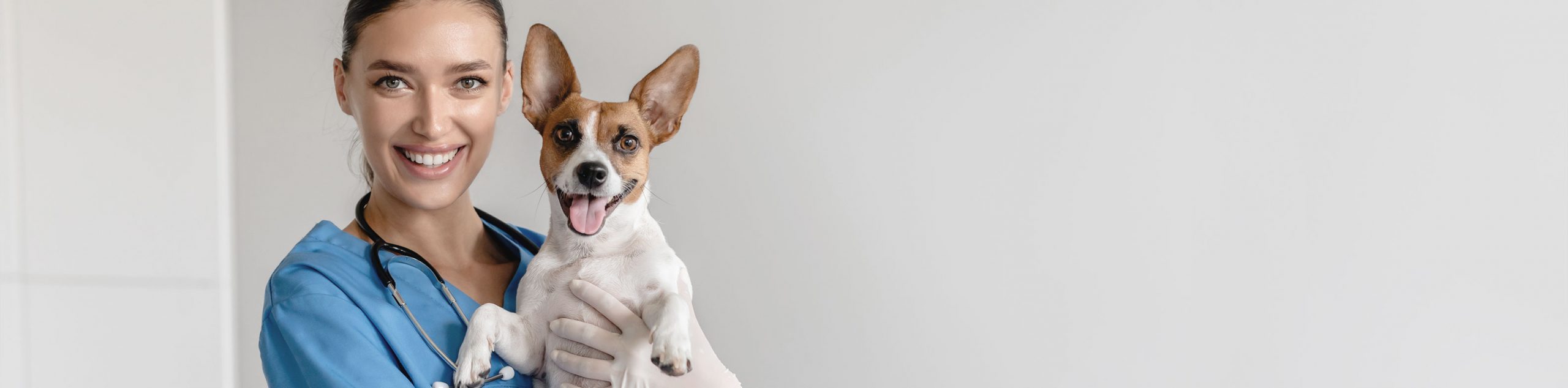 Preparing Your Pet for Their First Vet Visit: What to Expect and How to ...