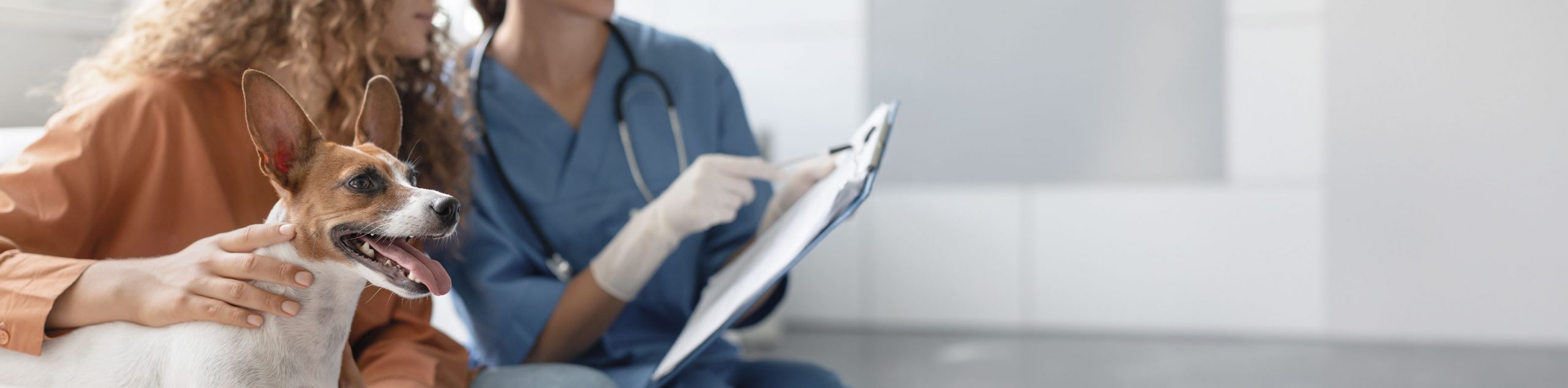 Vet and Animal Owner Work Together - Best Outcomes | Veterinary Client ...